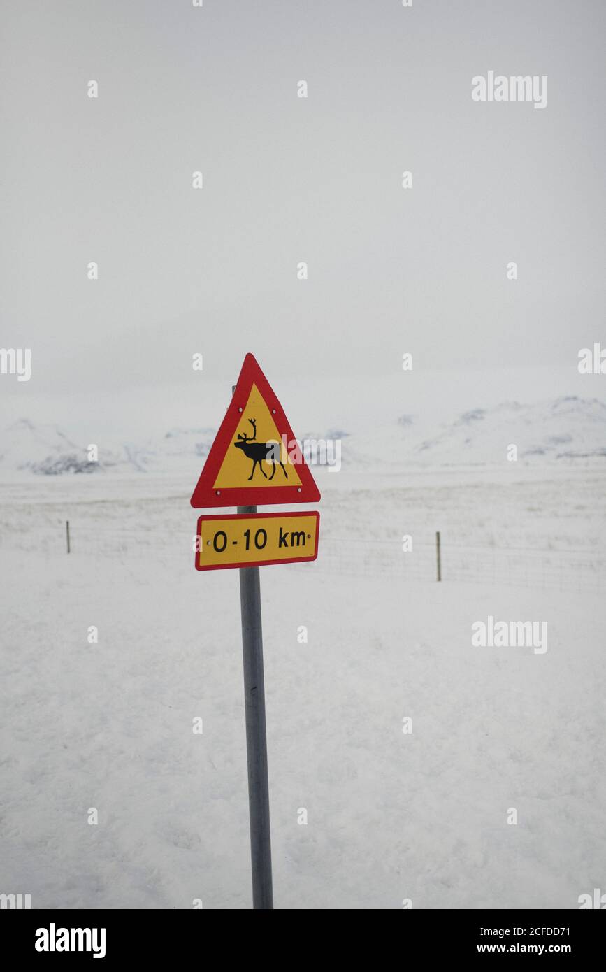 "Warning reindeer" sign on the ring road in Iceland Stock Photo - Alamy