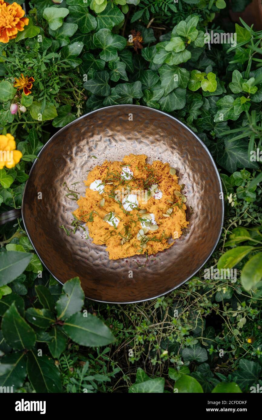 Top view of delicious vegetarian vegetable paste snack with greens in ...