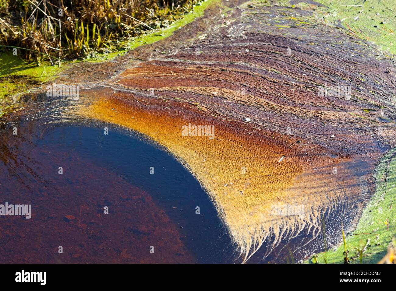 Water surface, sludge deposits Stock Photo - Alamy