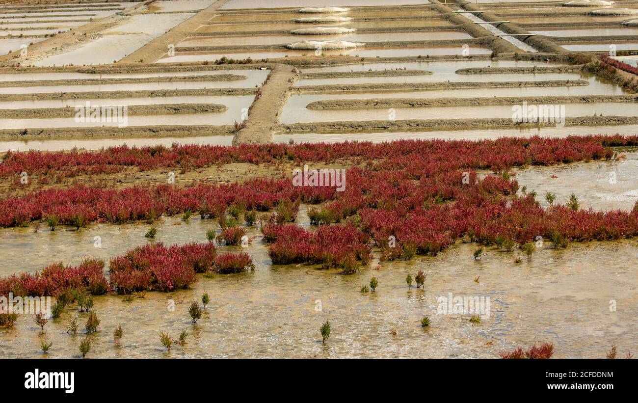 Guerande in Brittany, panorama of the the salt marshes Stock Photo - Alamy