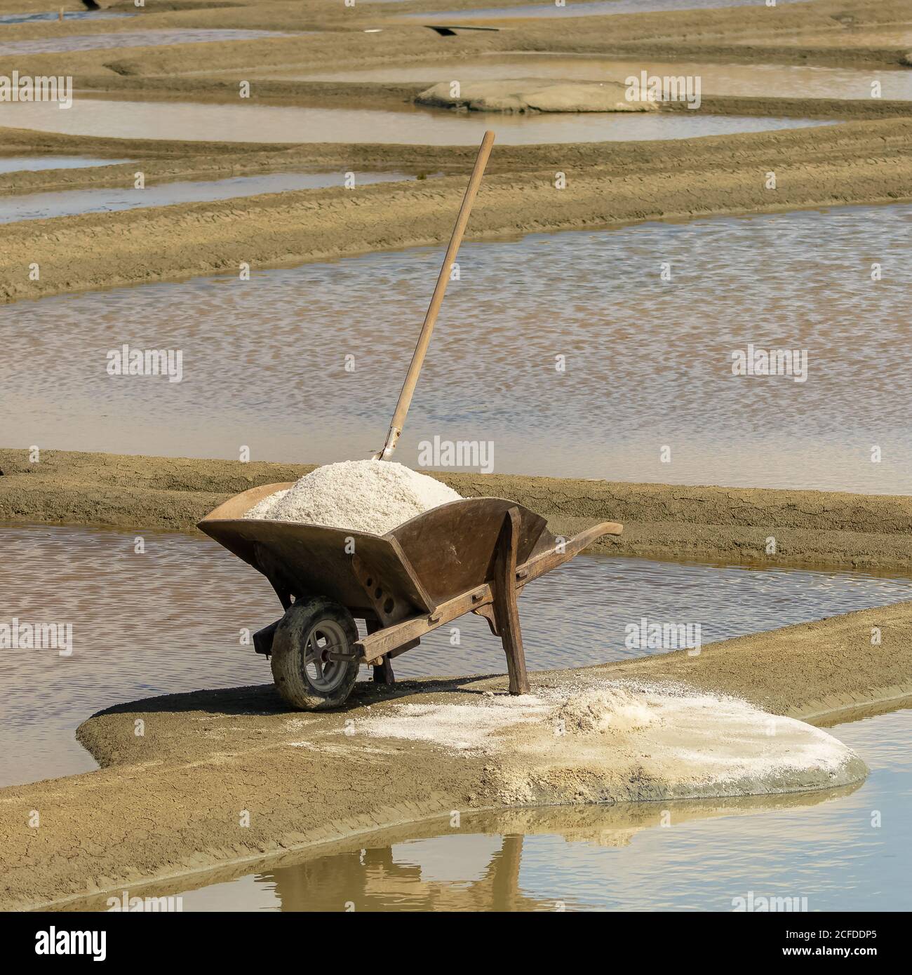 Guerande in Brittany, panorama of the the salt marshes Stock Photo - Alamy