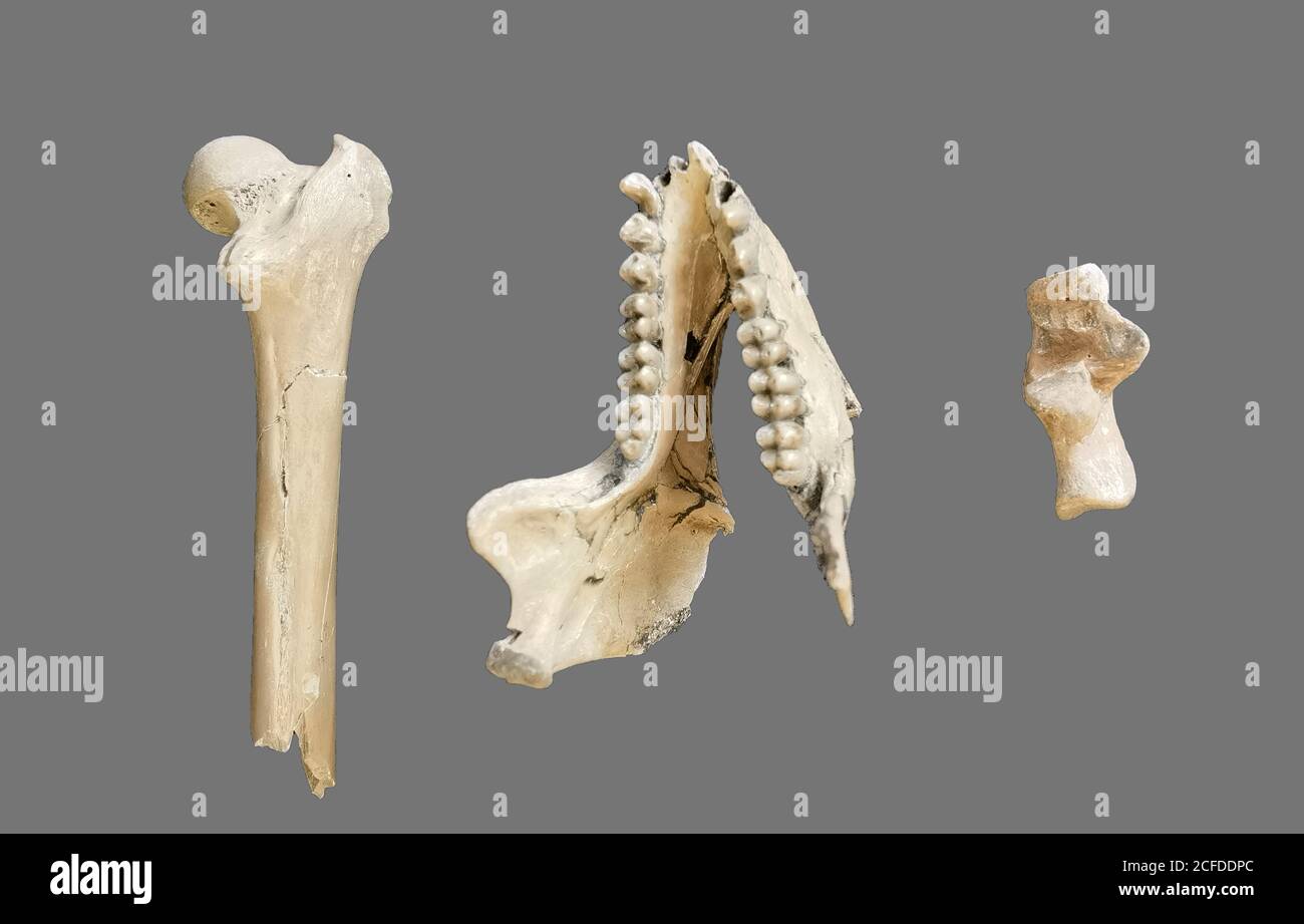 Kunming. 17th Aug, 2020. Photo taken on Aug. 17, 2020 shows the ...