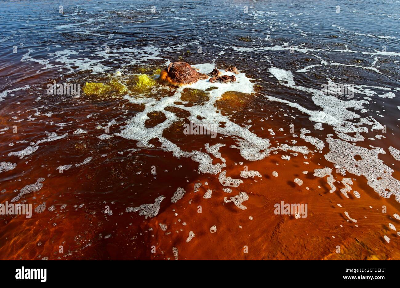 Gaet ale pond hi-res stock photography and images - Alamy