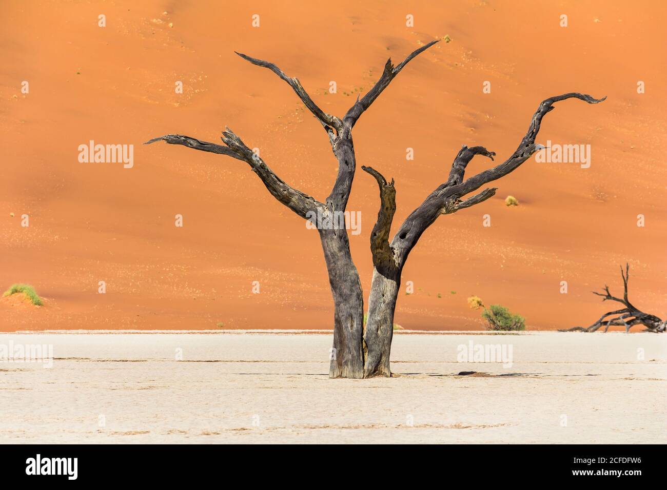 White salt hi-res stock photography and images - Alamy