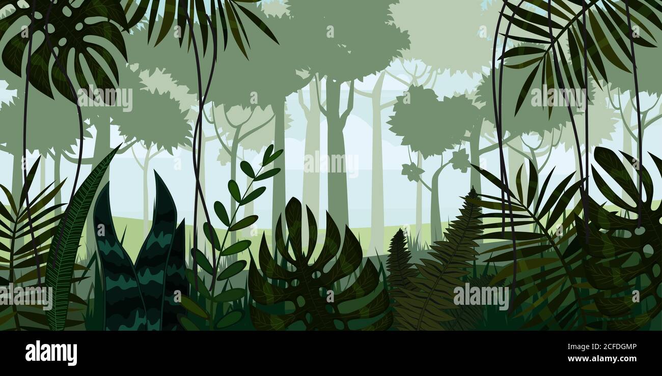Rainforest Clipart Background