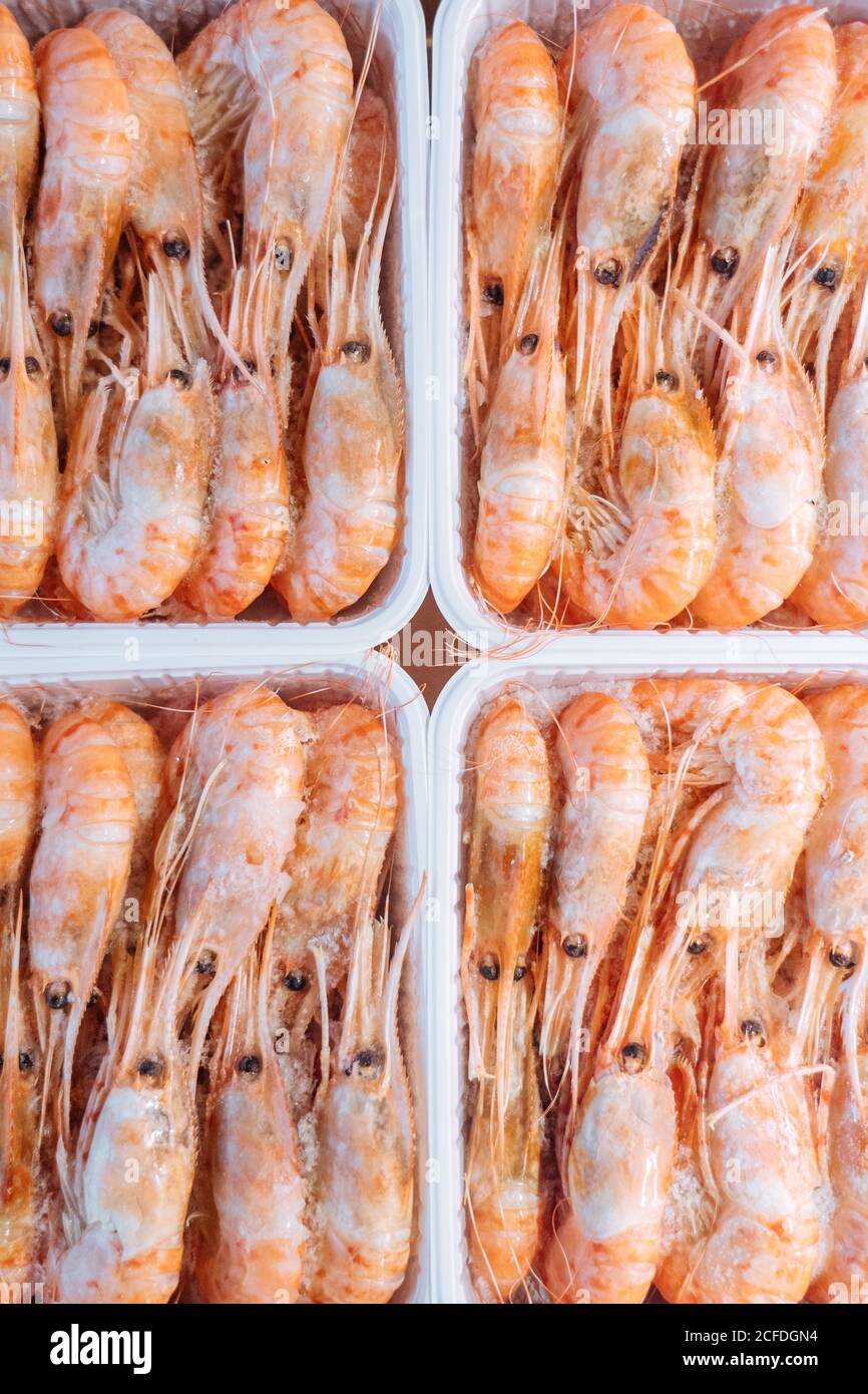 Top view of plastic boxes with cool fresh shrimps placed on stall in ...