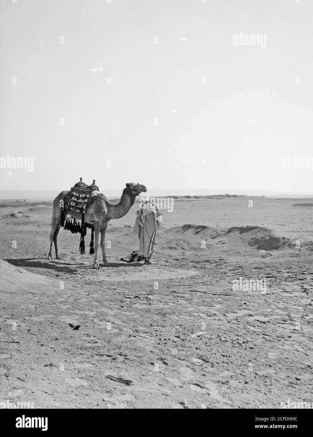 Egyptian wilderness Black and White Stock Photos & Images - Alamy