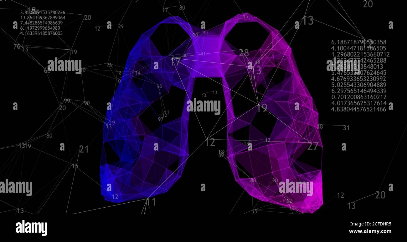Rotating 360 low polygonal lungs 3D model on black background with ...