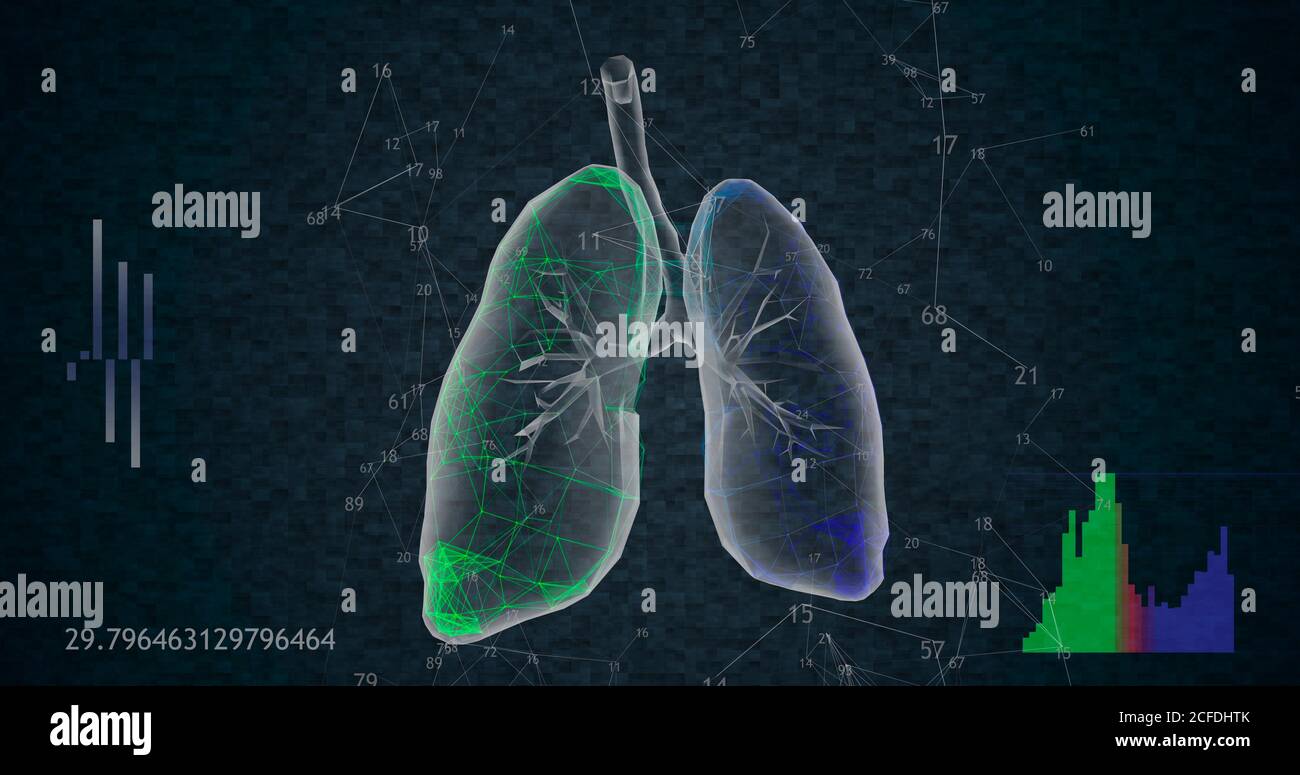 Rotating 360 low polygonal lungs 3D model on black background with ...