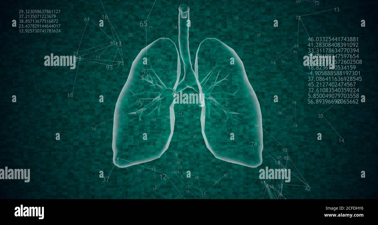 Viruses spread inside human body. 3D model lungs with hight Covid-19 ...