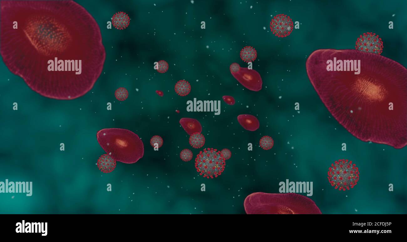Hight concentration Coronavirus disease Covid-19. Animation group of ...