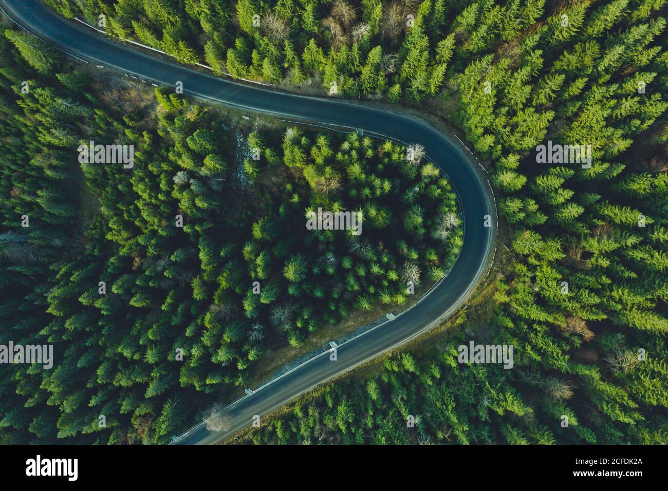 Curved aerial road from a drone. Forest asphalt road in the mountains ...