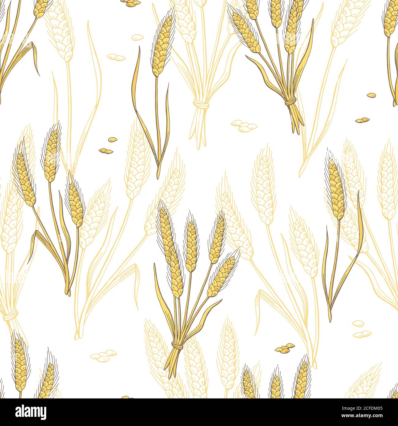 Ear barley grain color Stock Vector Images - Alamy