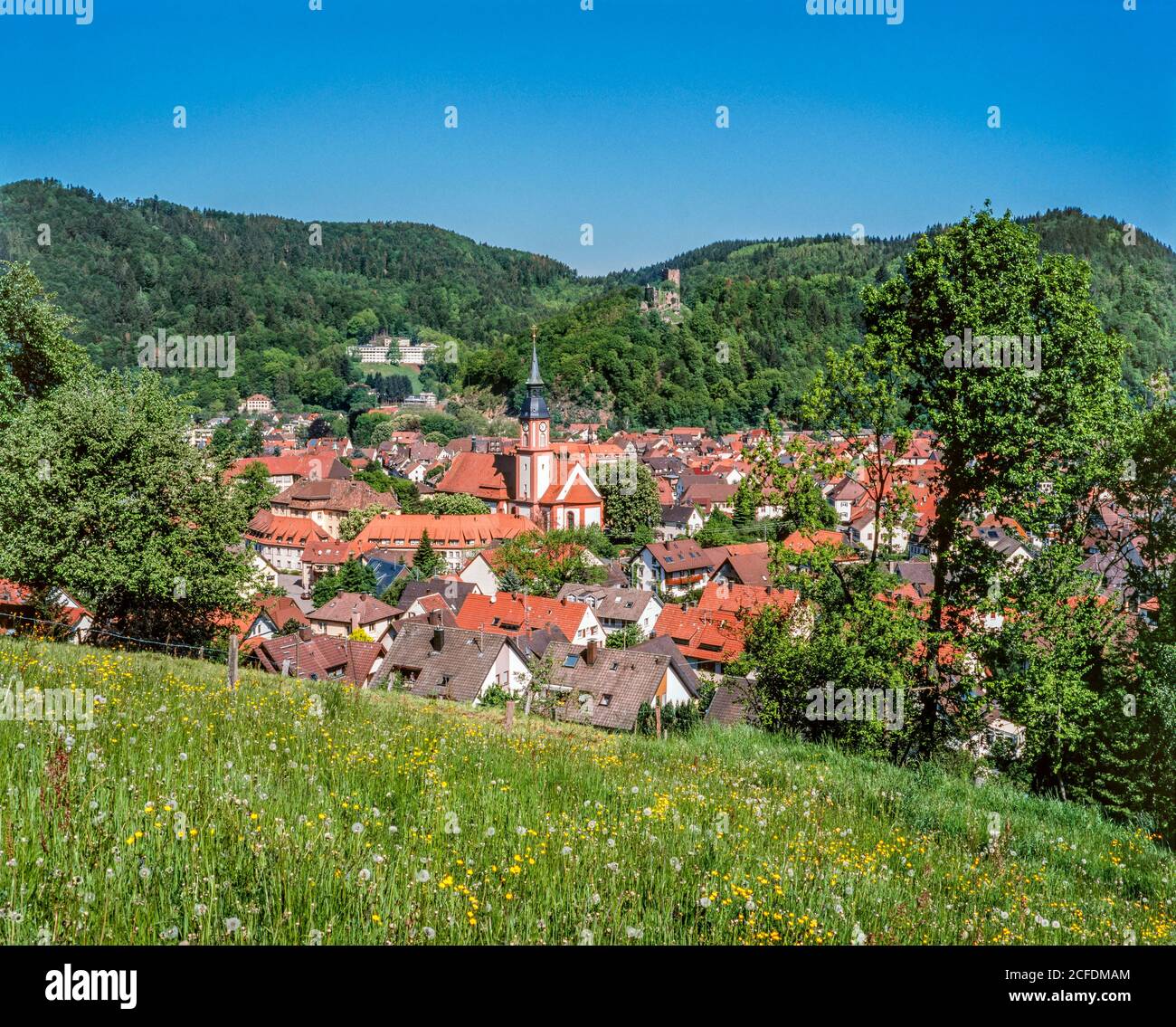 Elztal waldkirch hi-res stock photography and images - Alamy