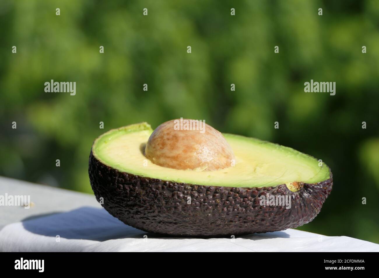 Avocado stone hi-res stock photography and images - Alamy