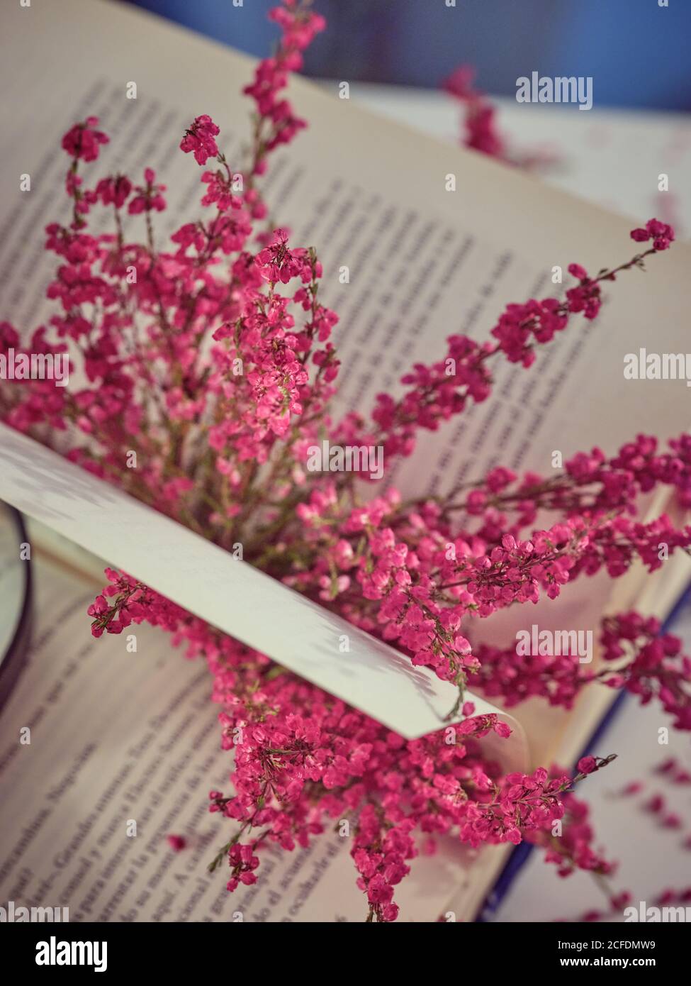 Twigs with flowers in book in pages of open book Stock Photo - Alamy