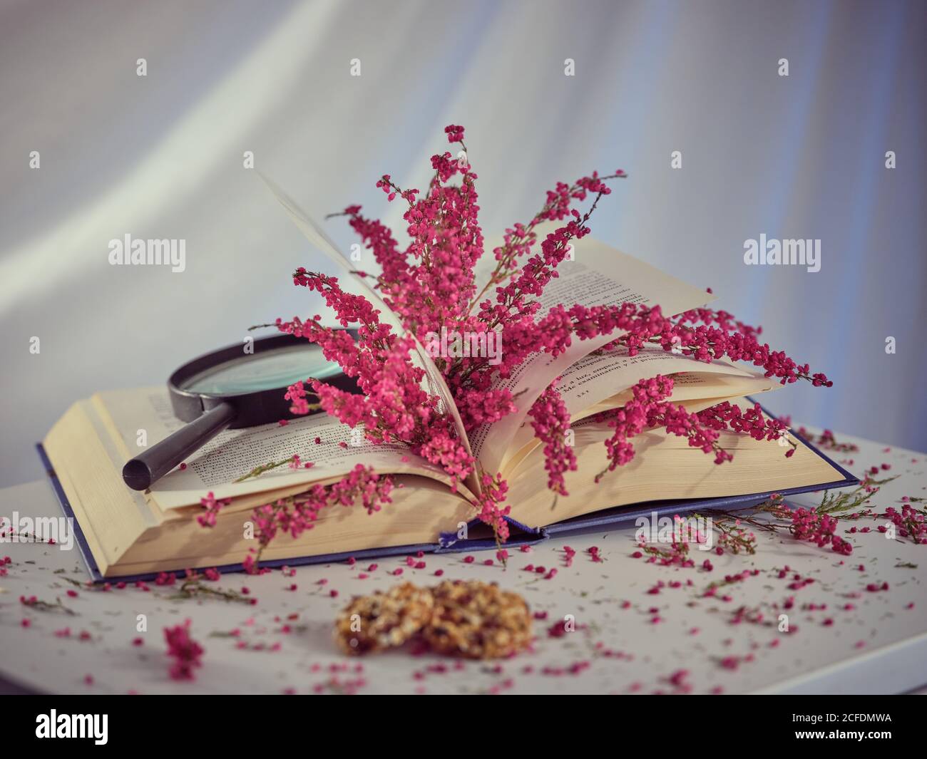 Twigs with flowers in book in pages of open book Stock Photo - Alamy