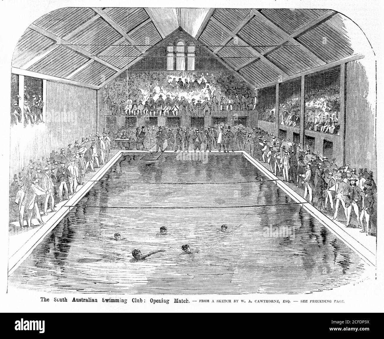 Australian swimming hi-res stock photography and images - Alamy