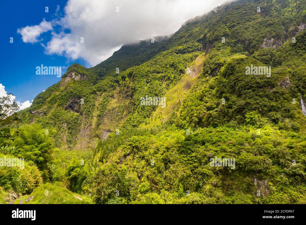 Lush tropical vegetation, Cirque de la Salazie, Reunion Island, France ...