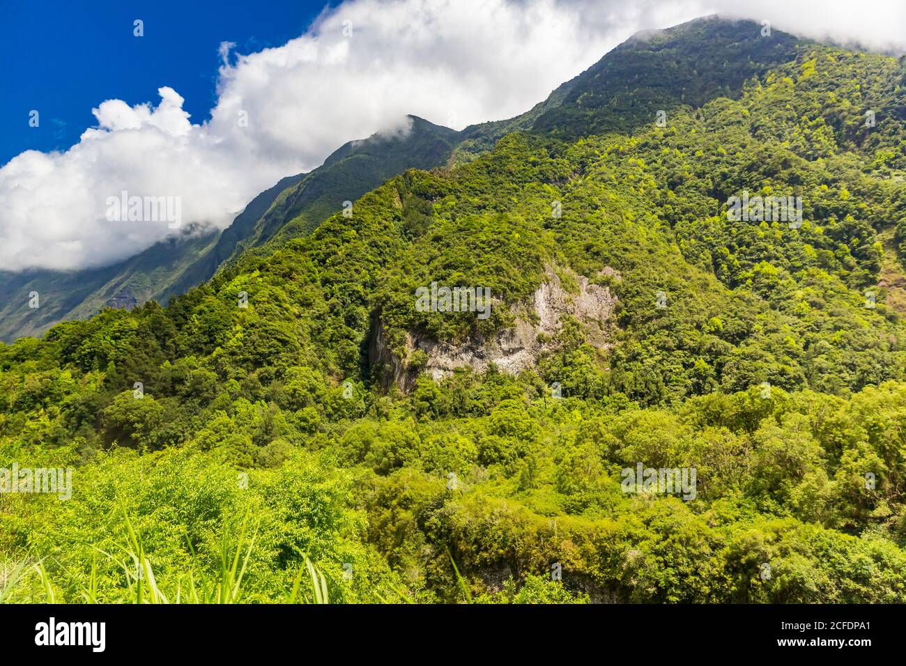 Lush tropical vegetation, Cirque de la Salazie, Reunion Island, France ...