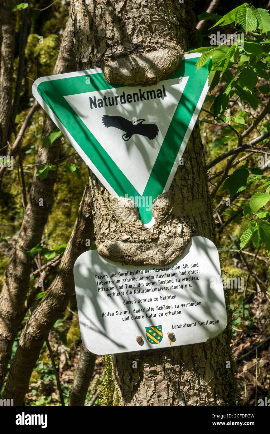 Germany, Baden-Wuerttemberg, Bad Urach - Seeburg, ingrown sign natural ...