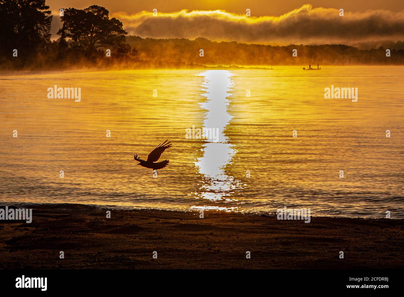 An Early Morning Flight Stock Photo - Alamy