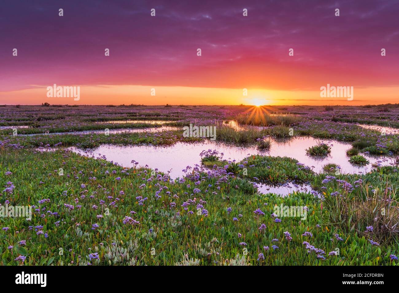 Sunrise over the salt marshes near Wells Stock Photo - Alamy