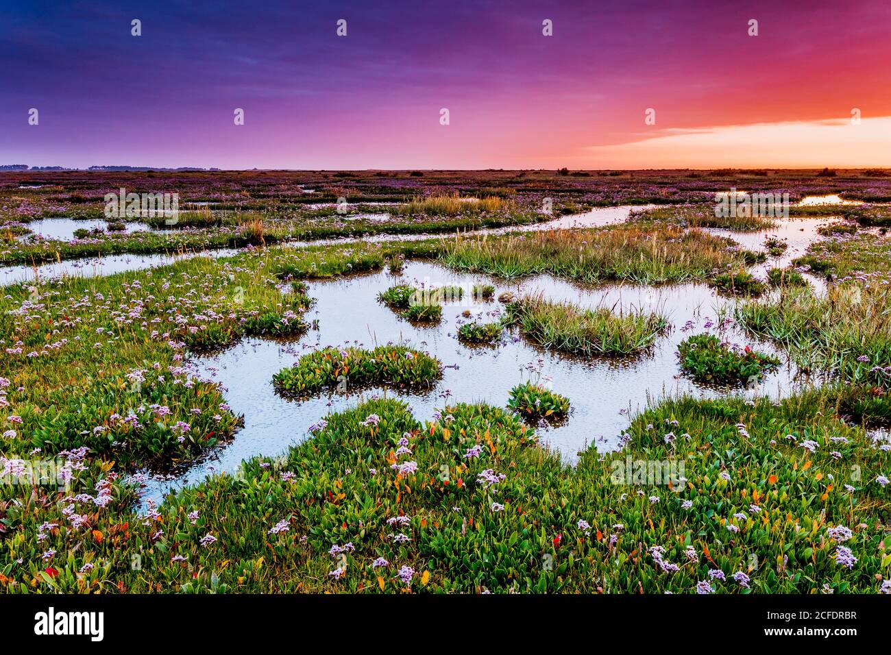 Wells salt marsh hi-res stock photography and images - Alamy