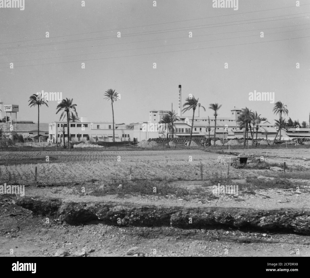 1920s tel aviv hi-res stock photography and images - Alamy