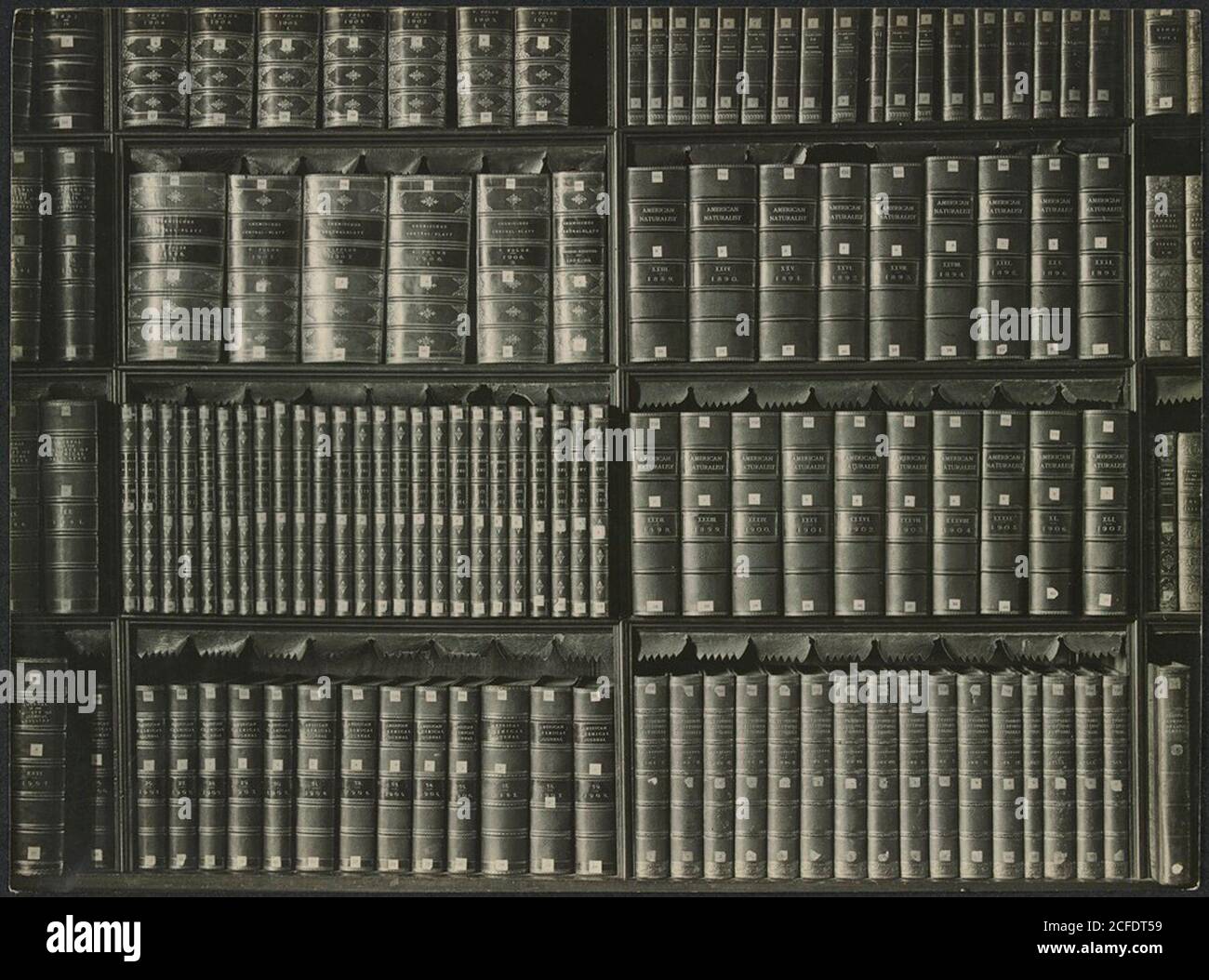 National library and museums hi-res stock photography and images - Alamy