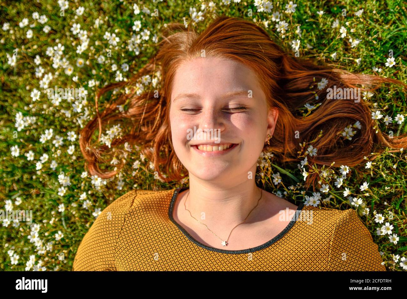 Young girl with reddish spread hair lies on meadow with white little ...
