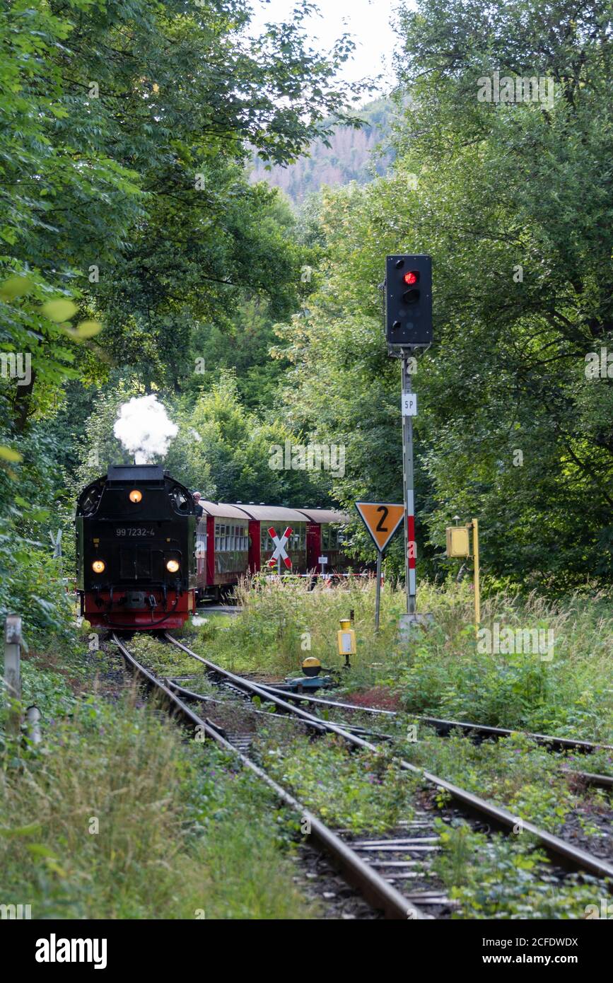 Germany, Saxony-Anhalt, Wernigerode, the Brockenbahn reaches the ...