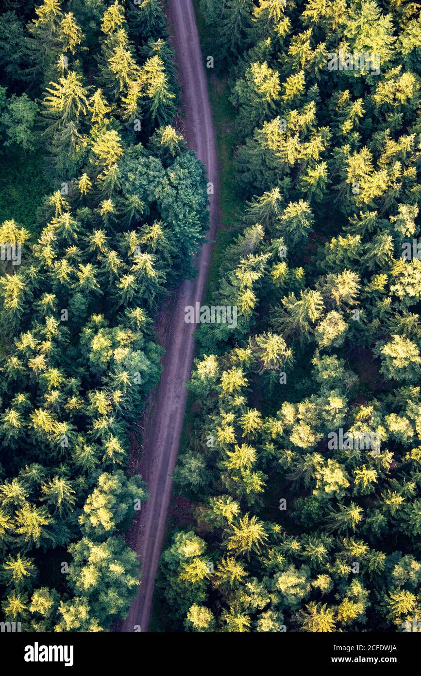Aerial view of woodland paths hi-res stock photography and images - Alamy