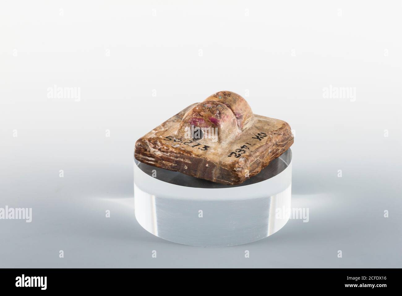 Ancient seal of rhino, from Mohenjo daro, Indus valley civilization ...