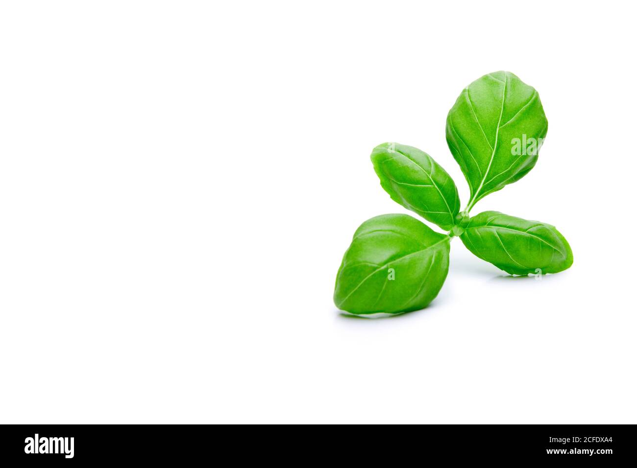 Bio basil hi-res stock photography and images - Alamy