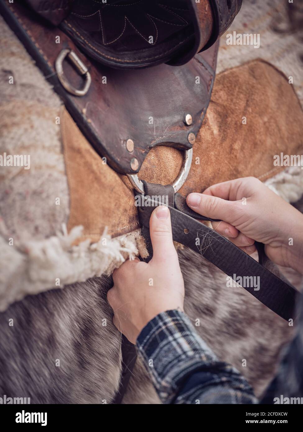 Equestrian Saddle High Resolution Stock Photography and Images - Alamy