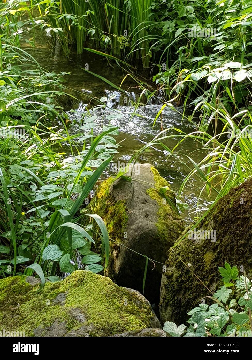 Brook green gardens hi-res stock photography and images - Alamy