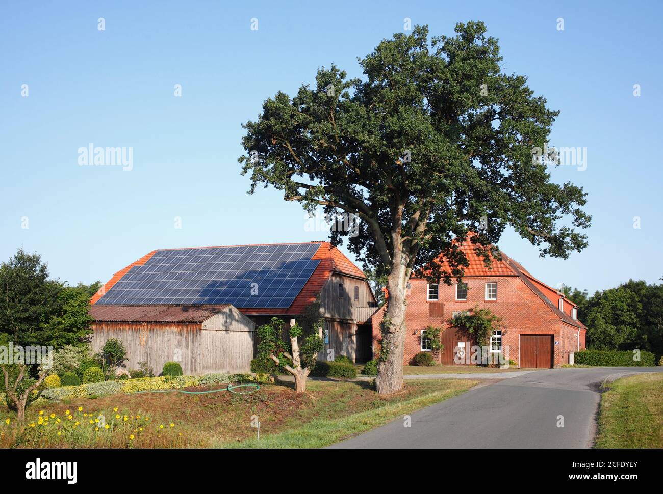 Thatched farmhouse in the Bremer Blockland, Bremen, Germany, Europe ...