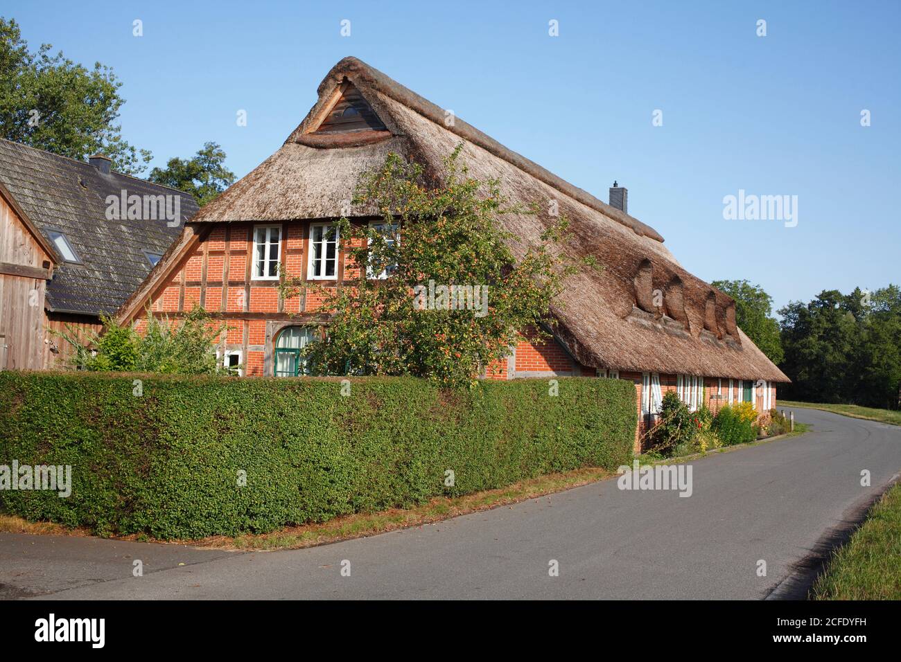 Thatched farmhouse in the Bremer Blockland, Bremen, Germany, Europe ...
