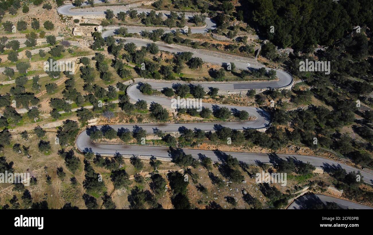 Green Grass Snake High Resolution Stock Photography and Images - Alamy