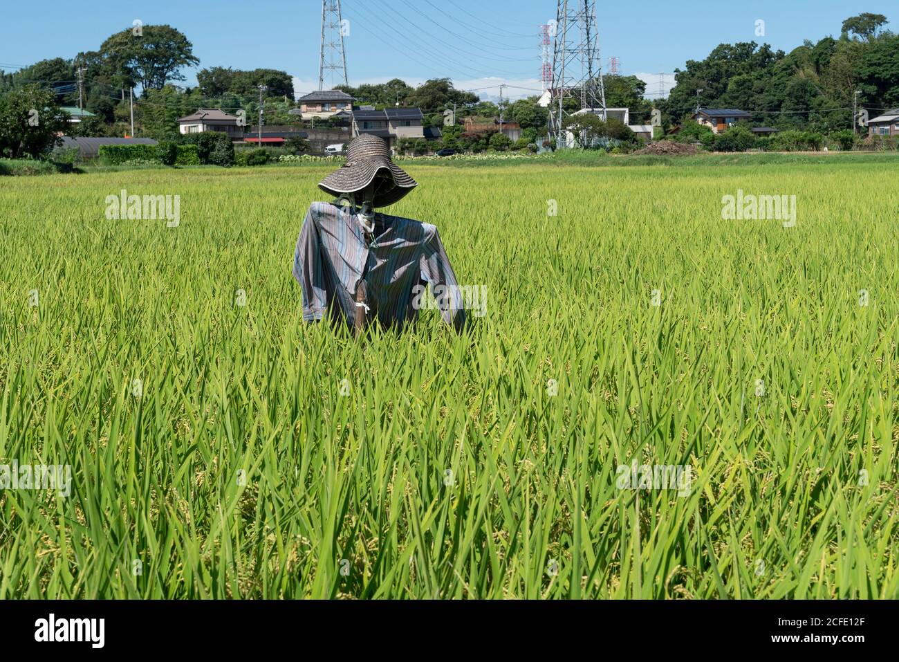 Japan scarecrows hi-res stock photography and images - Alamy