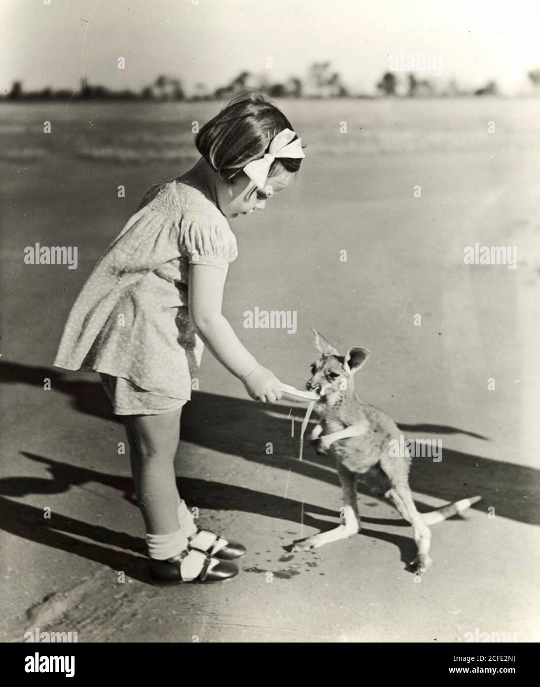 Janet Frame High Resolution Stock Photography and Images - Alamy