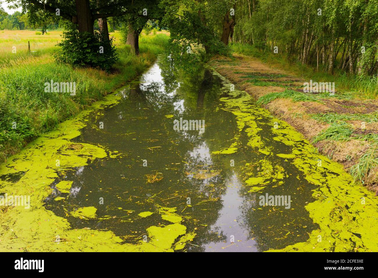 Summer material hi-res stock photography and images - Alamy
