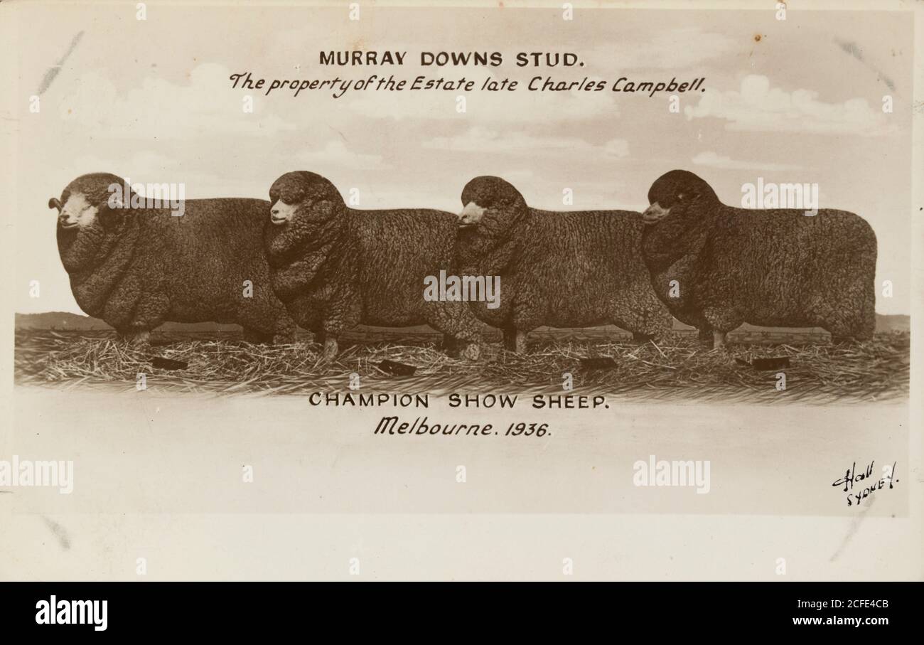 Charles murray art hi-res stock photography and images - Alamy