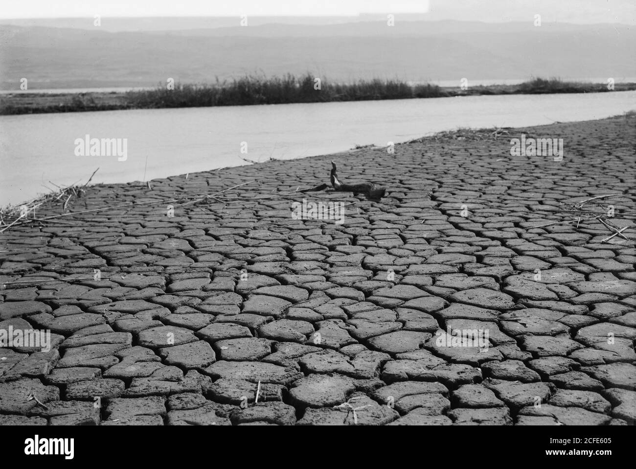 Original Caption: Around the Dead Sea. Fantastic designs of dry mud at ...