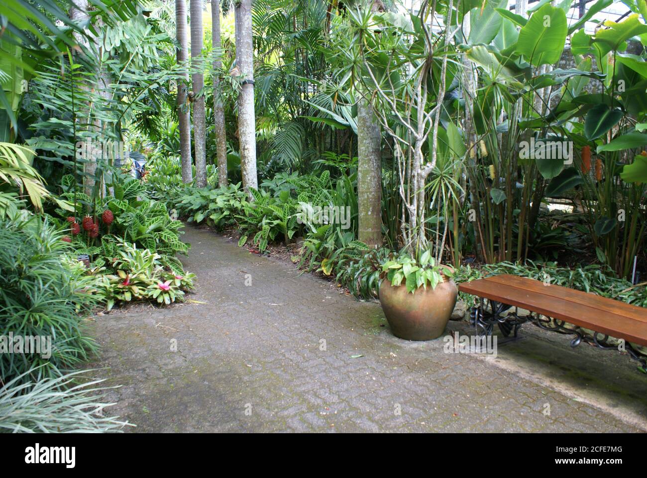 Vines botanical gardens hi-res stock photography and images - Alamy