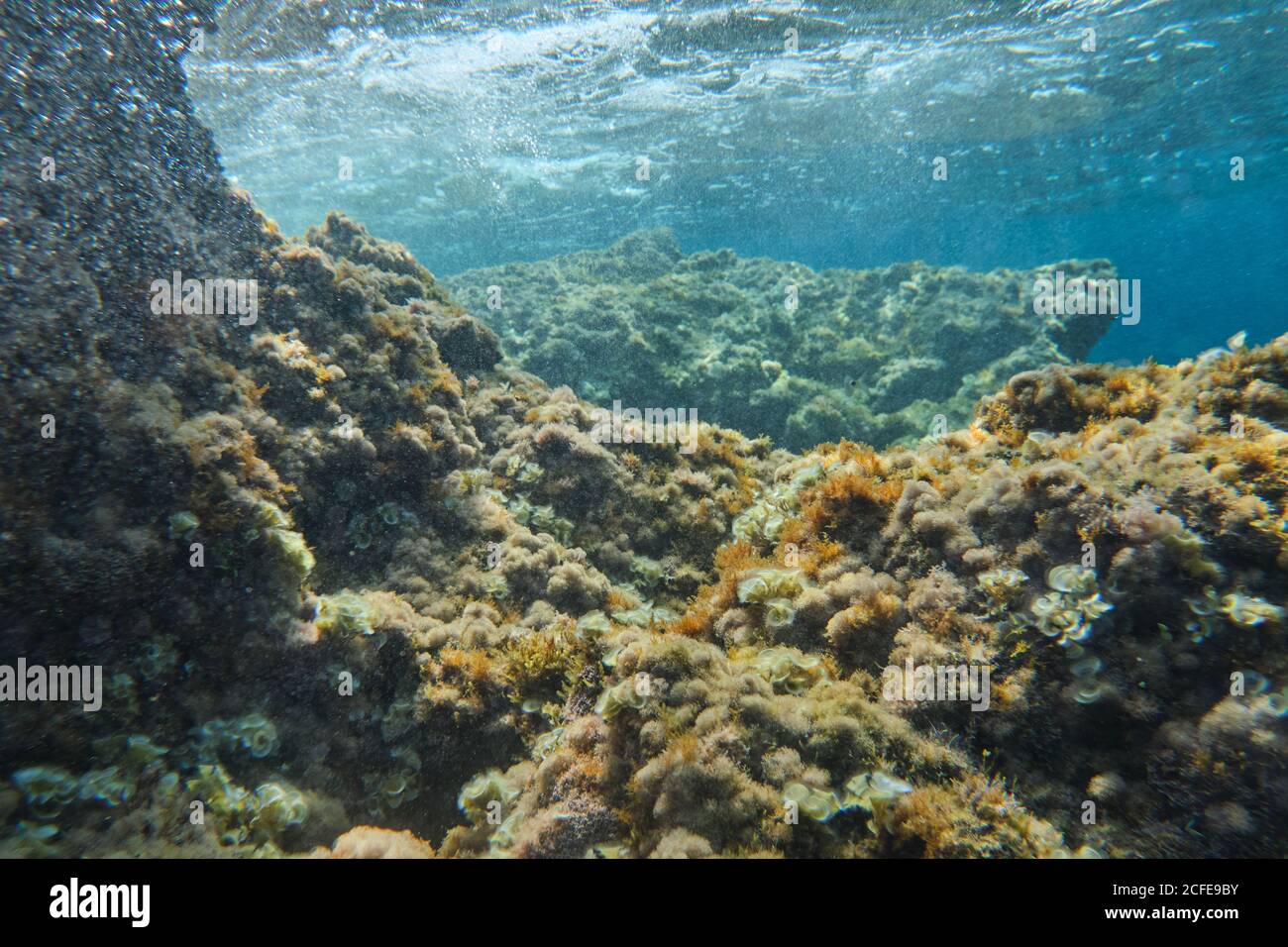 Ocean Floor High Resolution Stock Photography and Images - Alamy