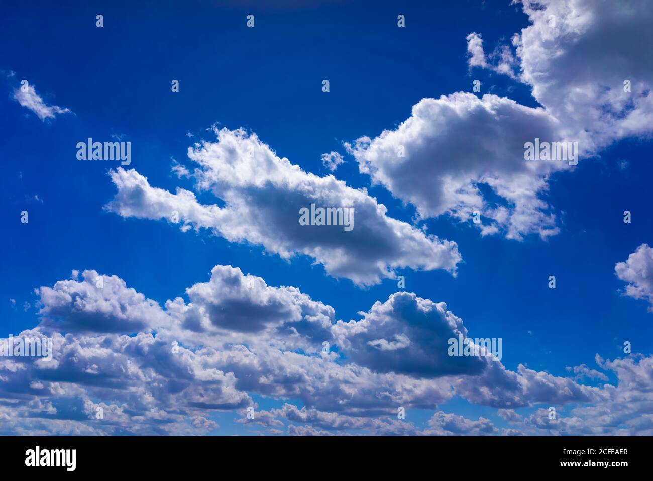 Summer day hi-res stock photography and images - Alamy