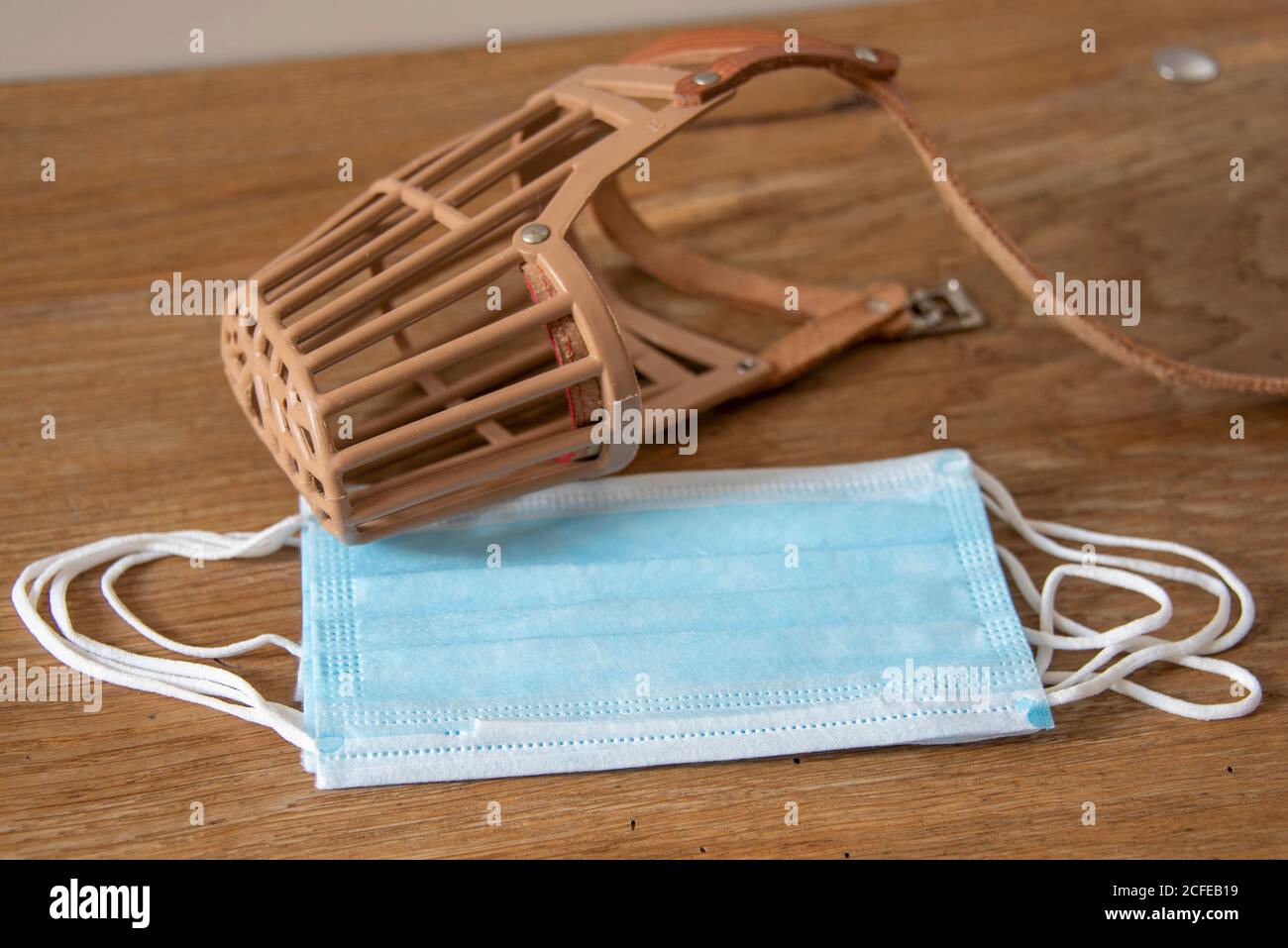 Coronavirus prevention face mask, medical-surgical masks, muzzle for a ...