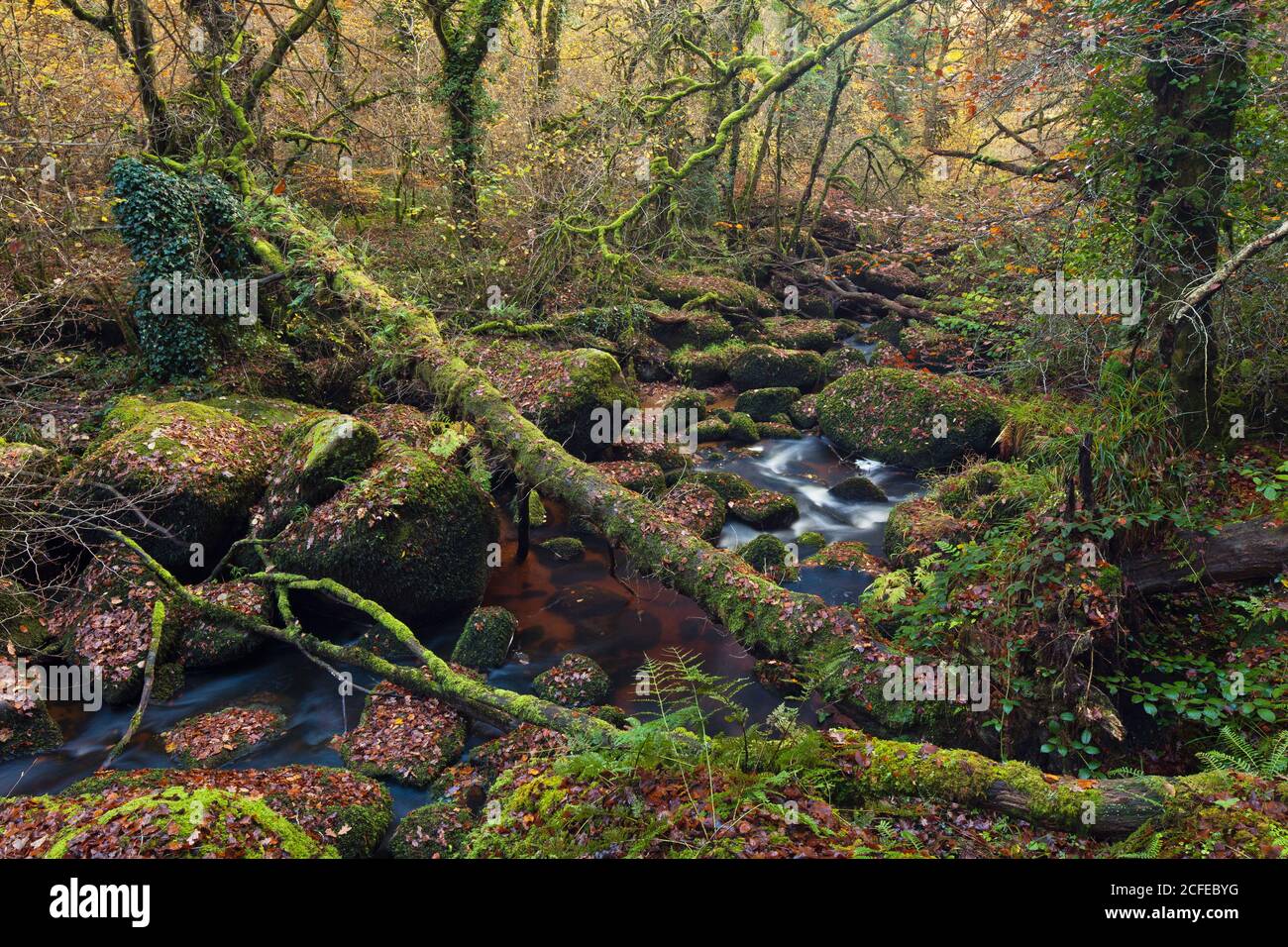 The Toul Goulic gorge is a rustic piece of forest in the heart of ...